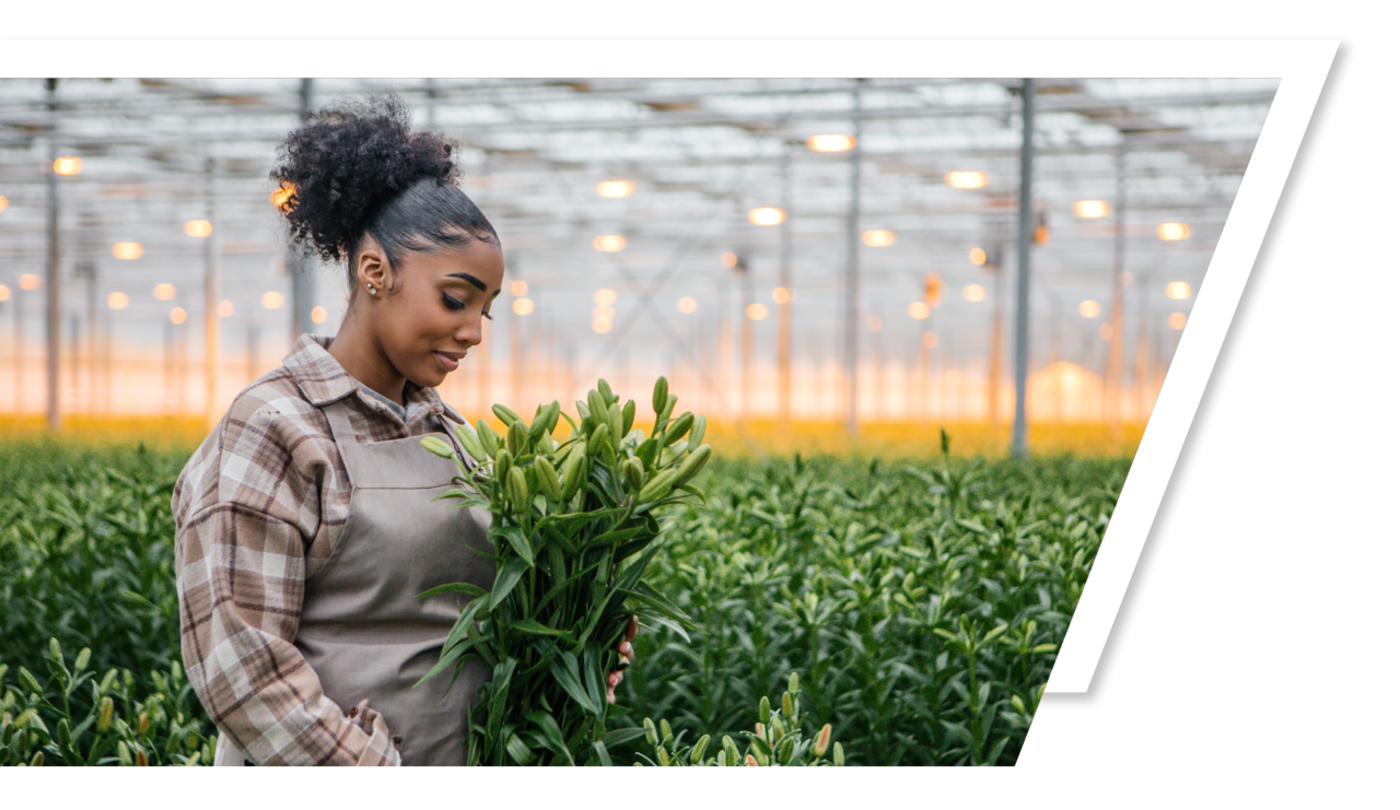 Lone Workers | Welcome to TED Alert!